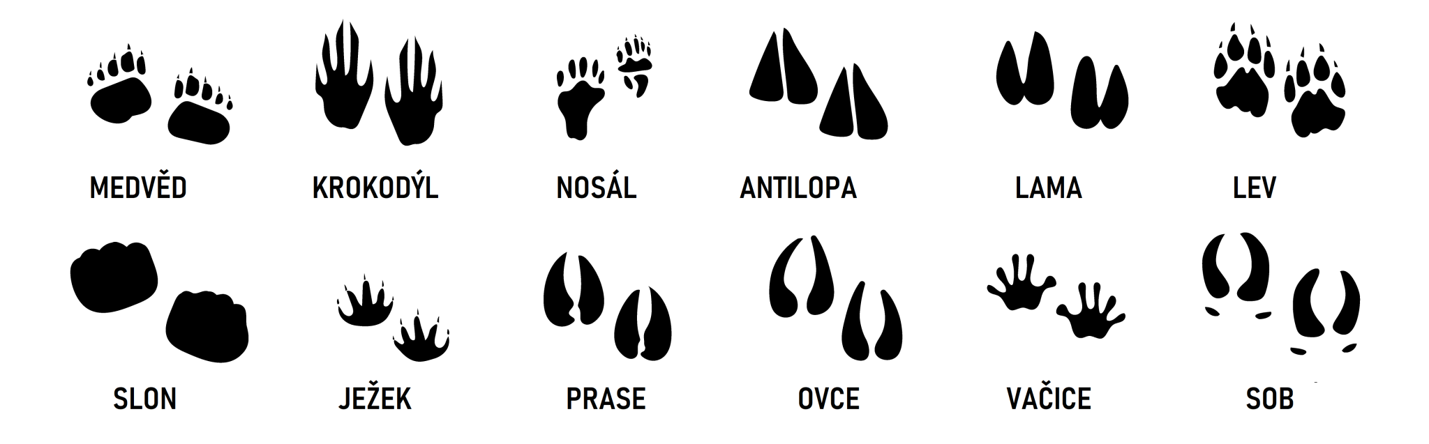 Stopy zvířat - K VYTISKNUTÍ, PRACOVNÍ LISTY - ProDětiCokoliv.cz