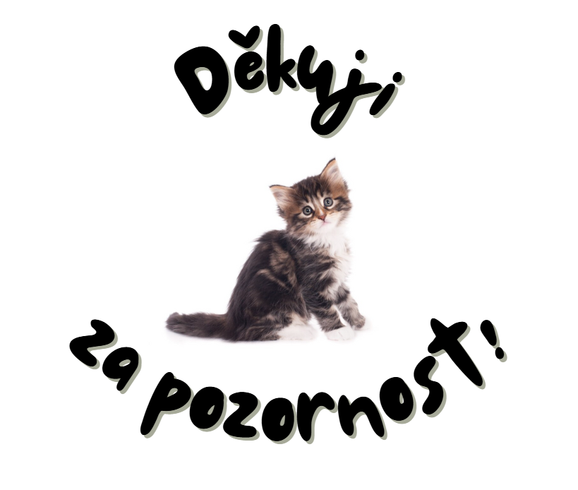 D kuji Za Pozornost Jak Na To A VTIPN Obr zky Ke Sta en 