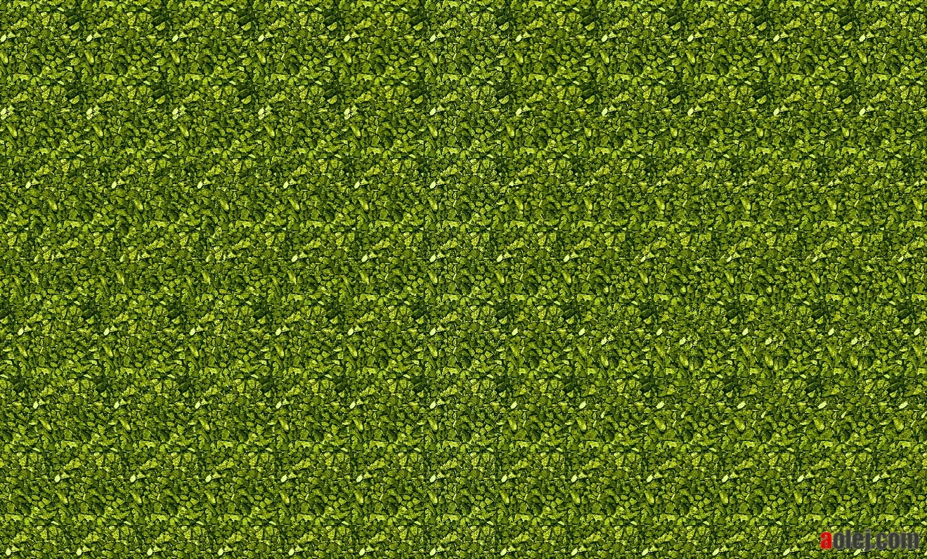 Stereogramy pro začátečníky i pokročilé aneb skryté 3D obrázky - ProDětiCokoliv.cz