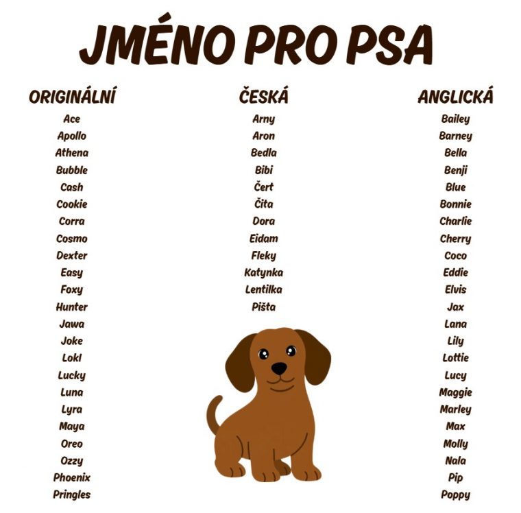 Jméno pro psa: Přes 80 originálních, anglických i českých jmen ...